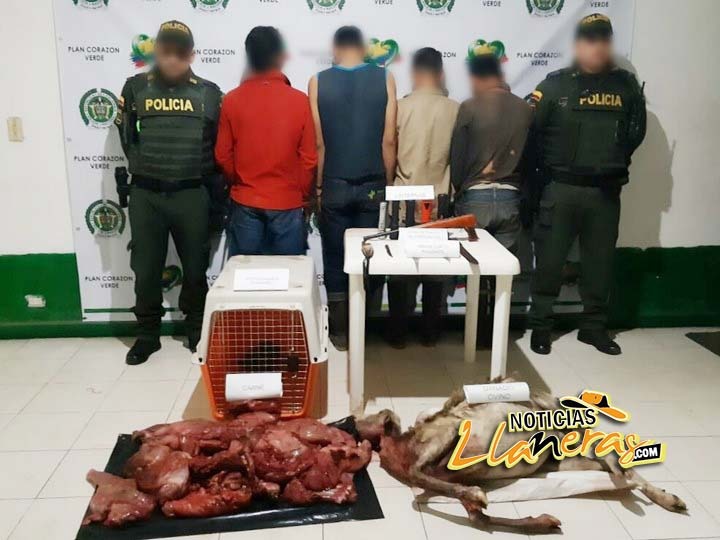 Cuatro personas fueron capturadas por el delito de abigeato en el Meta ...